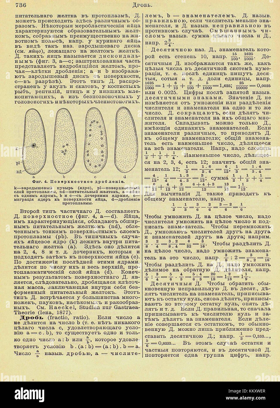 Yuzhakov's Big Encyclopedia is a reference work covering various topics ...