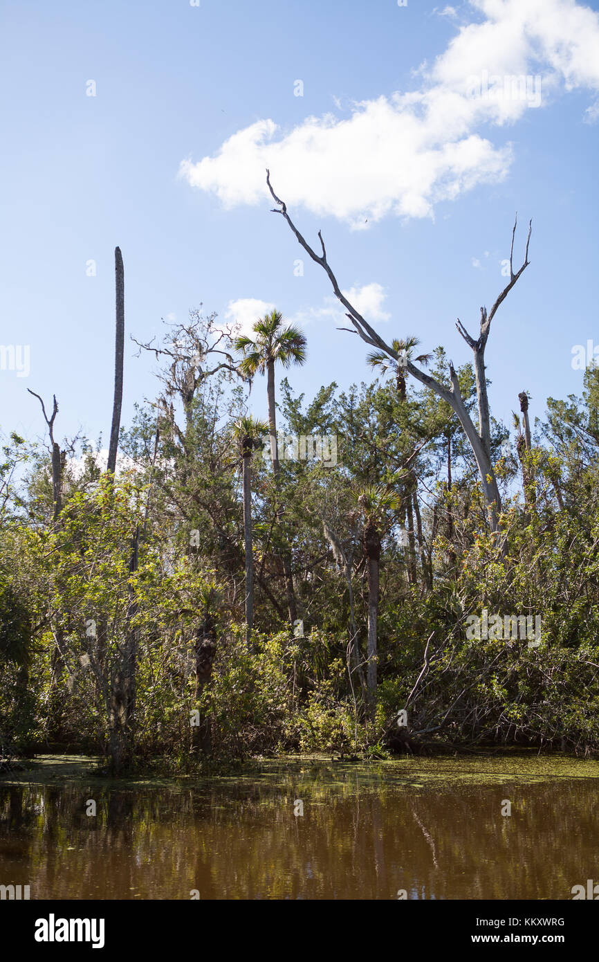 Florida scenery hi-res stock photography and images - Alamy