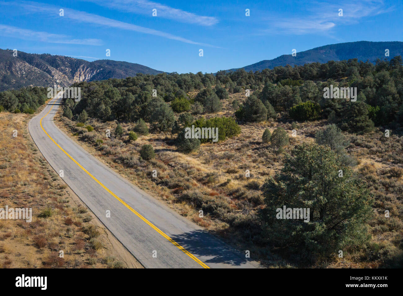 Single road through a forest in the mountains of southern California ...