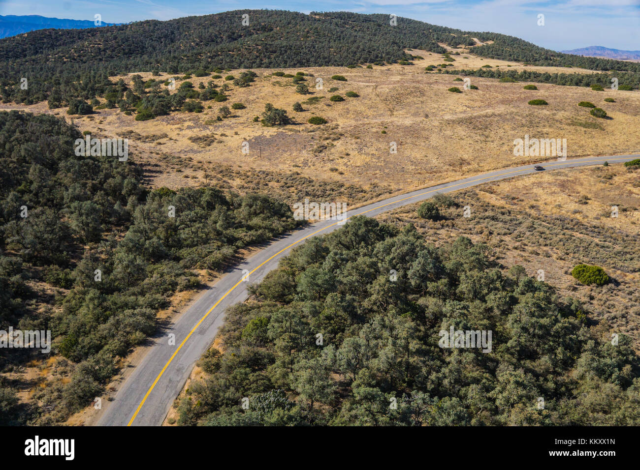 Single road through a forest in the mountains of southern California ...
