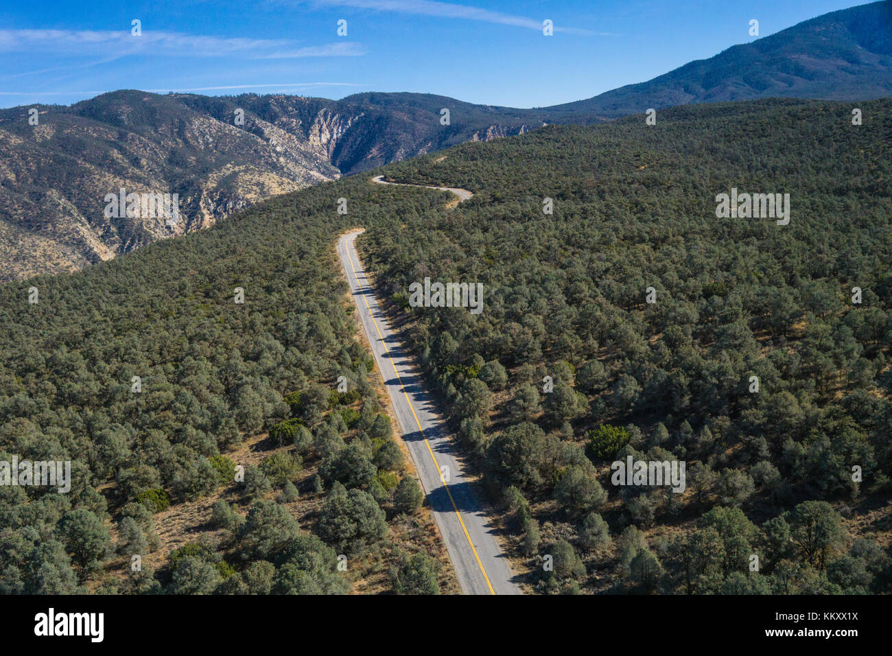 Single road through a forest in the mountains of southern California ...