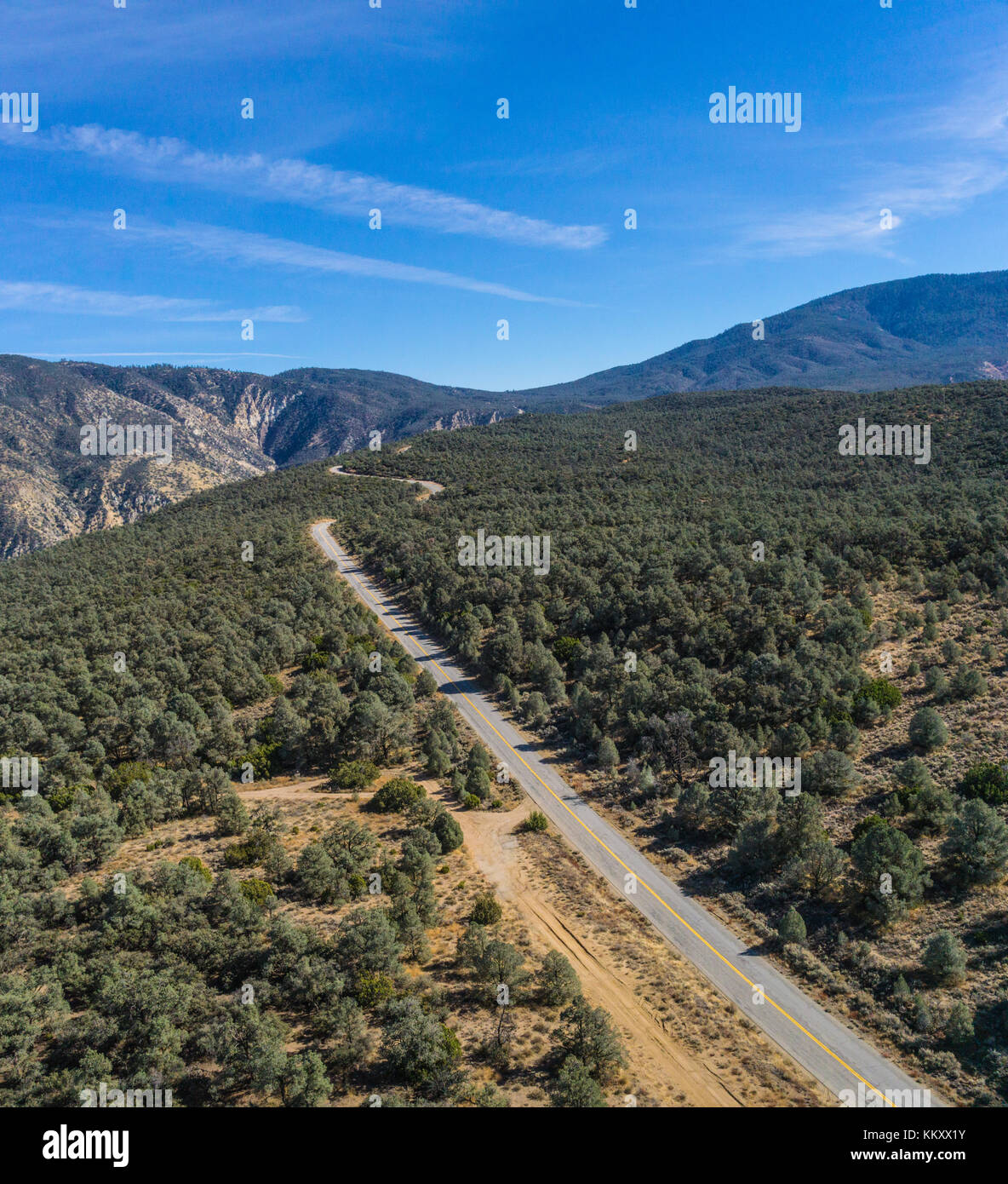 Single road through a forest in the mountains of southern California ...