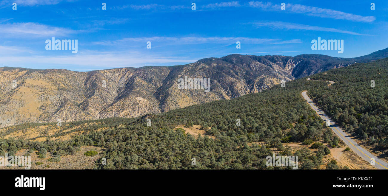 Single road through a forest in the mountains of southern California ...