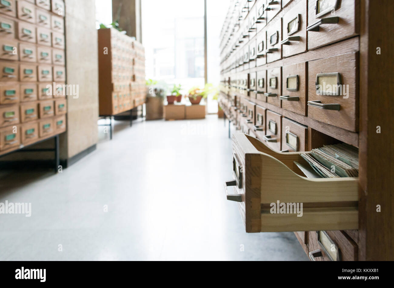 Old opened wooden drawers in archive Stock Photo - Alamy