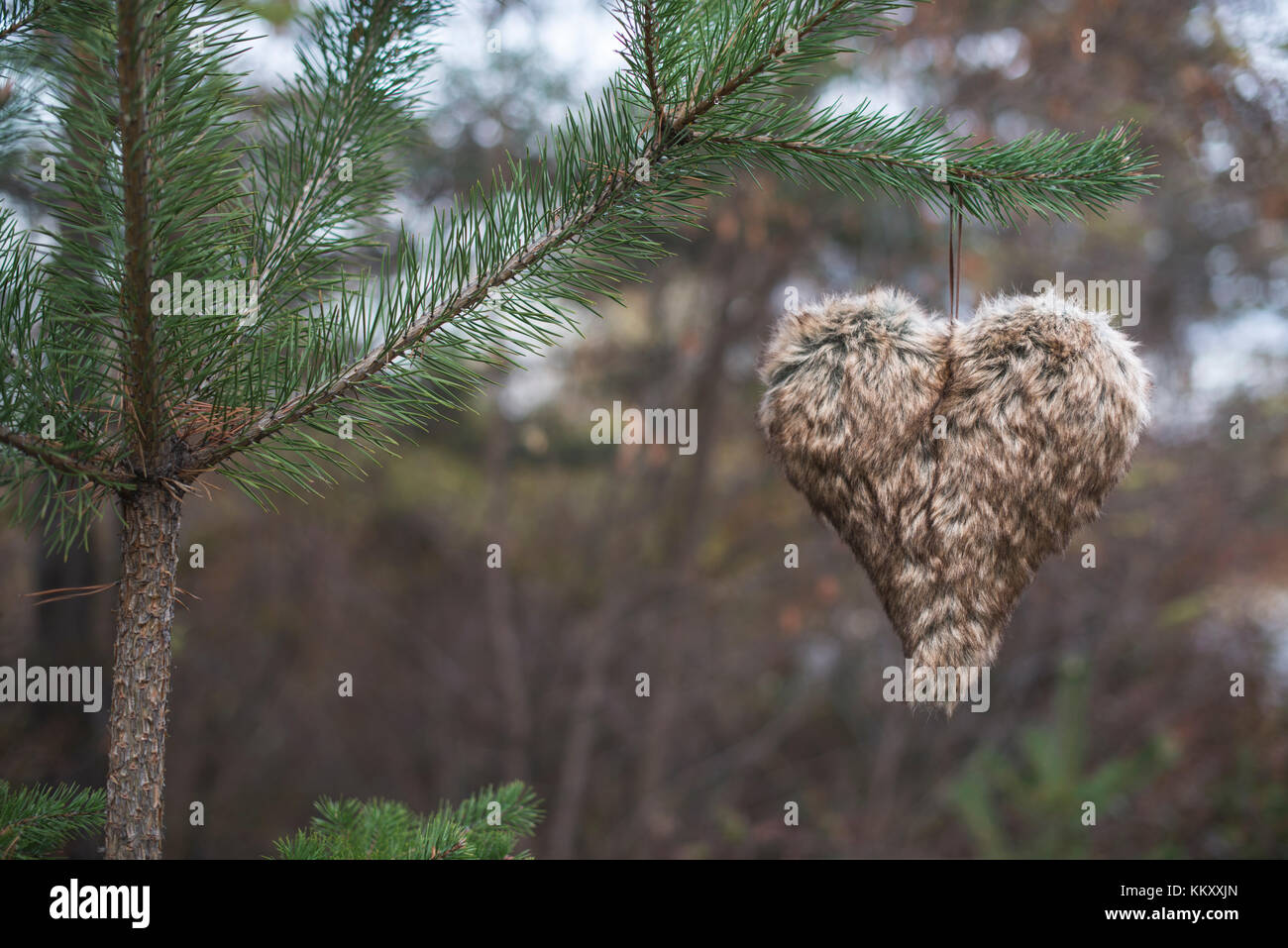 Hooked heart hi-res stock photography and images - Alamy