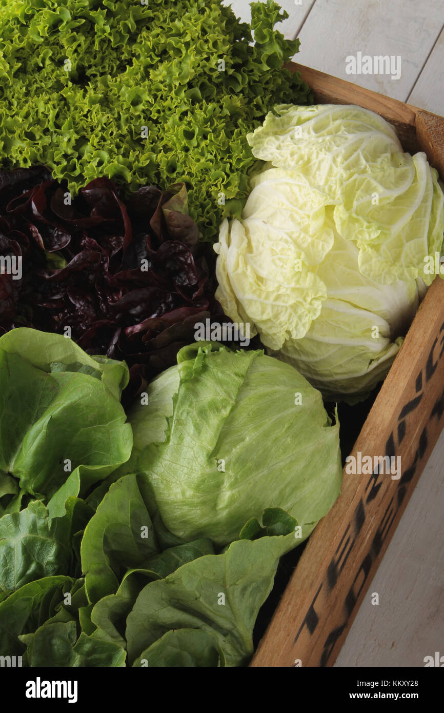Fresh picked lettuce hi-res stock photography and images - Alamy