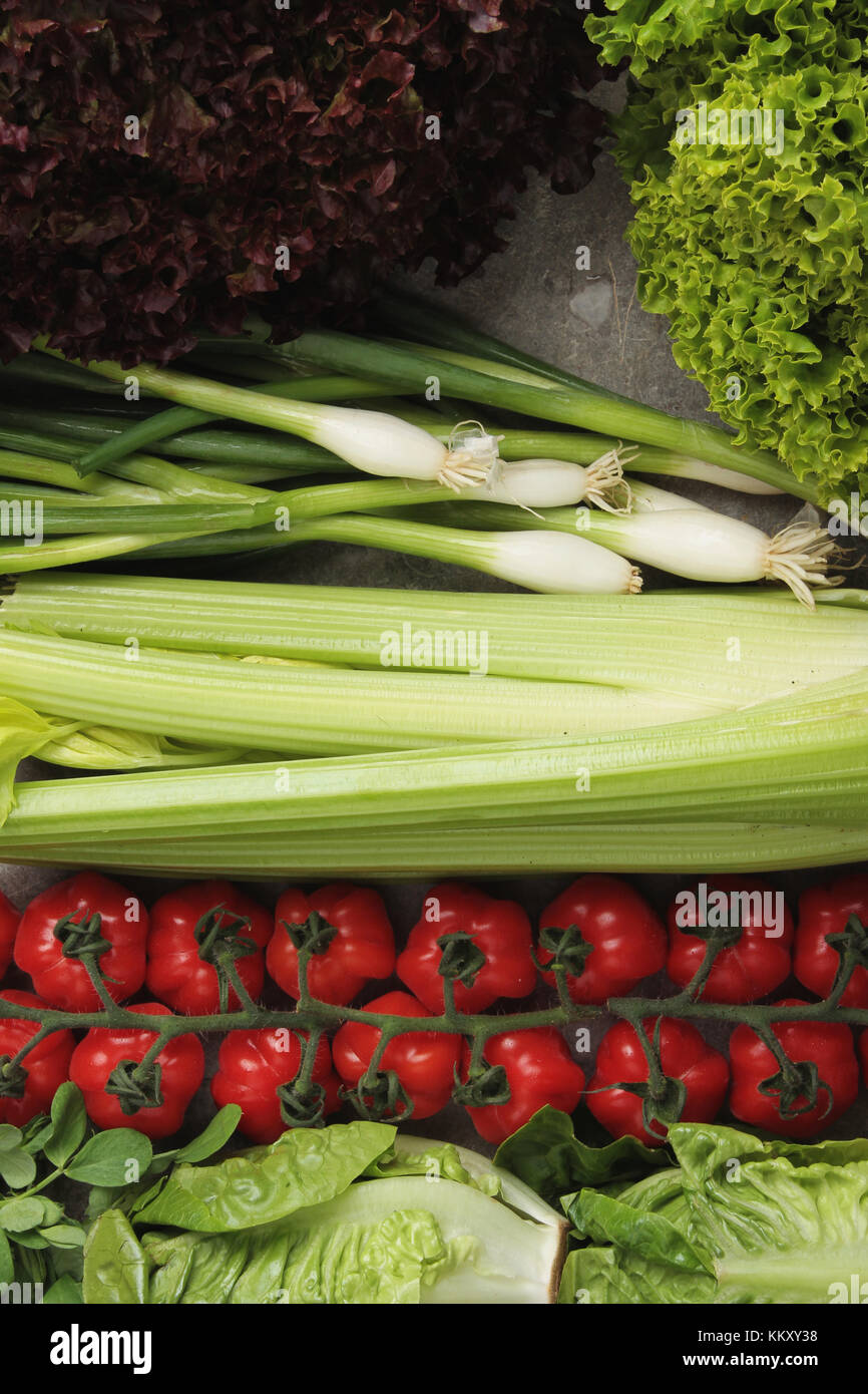 fresh salad background Stock Photo - Alamy