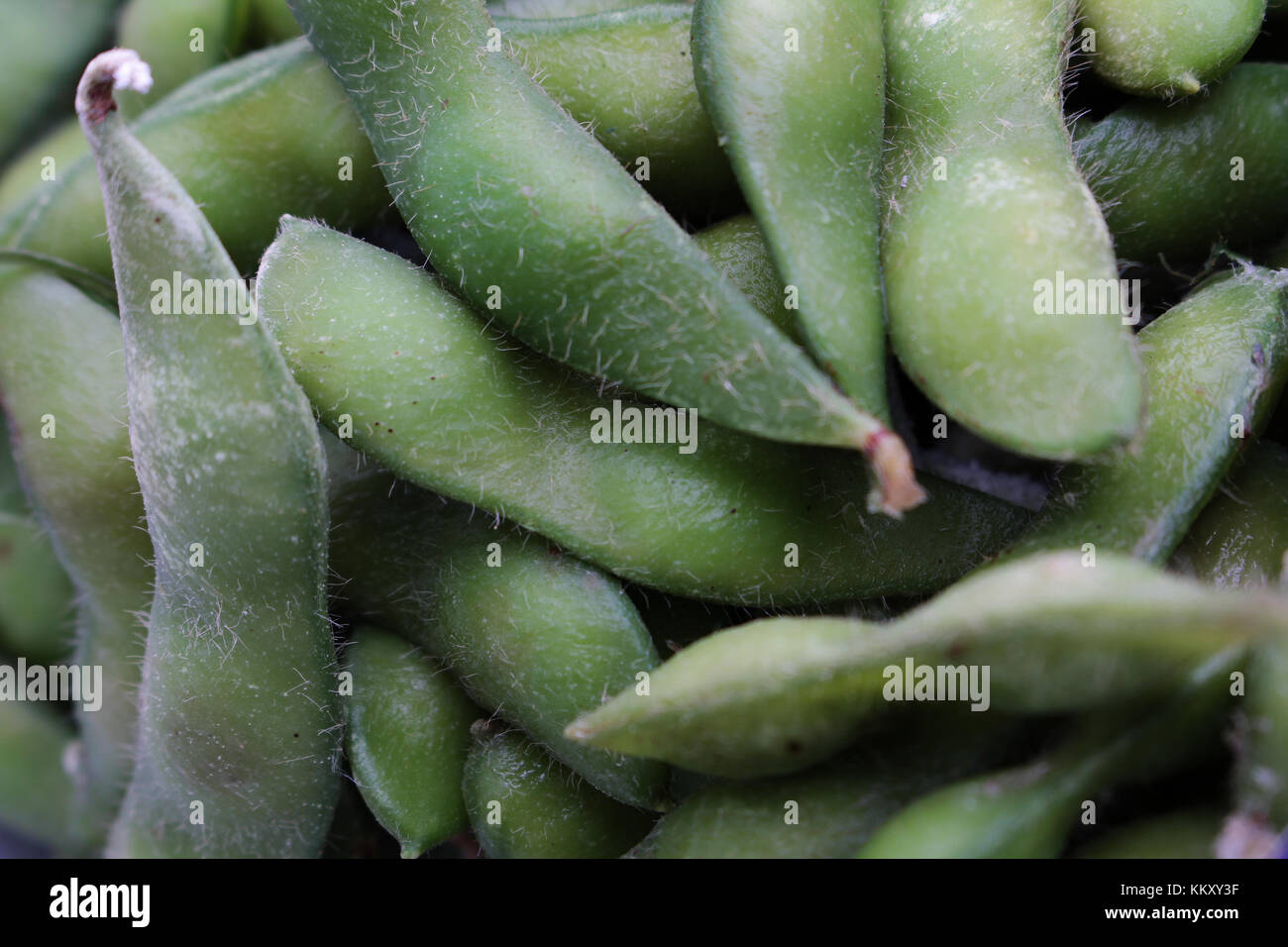 fresh soya beans Stock Photo - Alamy