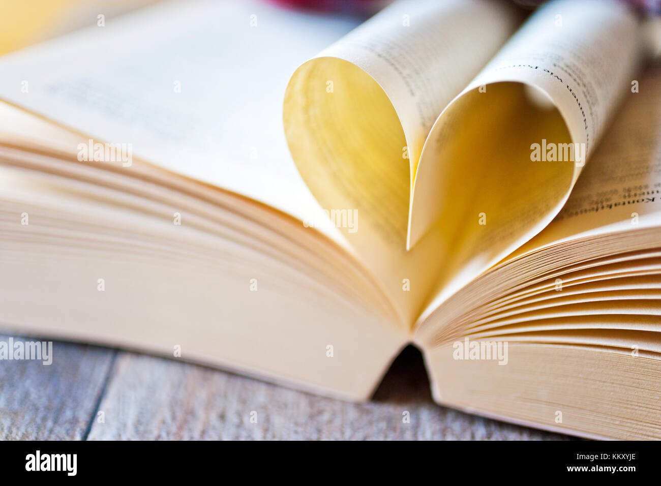 Science activity pages hi-res stock photography and images - Alamy