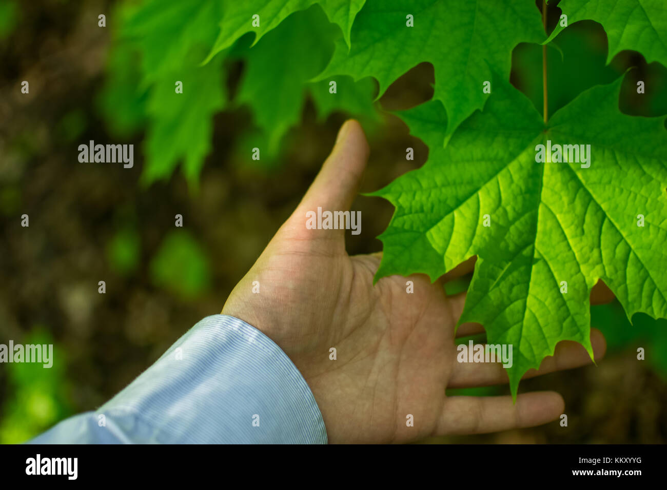 Winteriscoming hi-res stock photography and images - Alamy