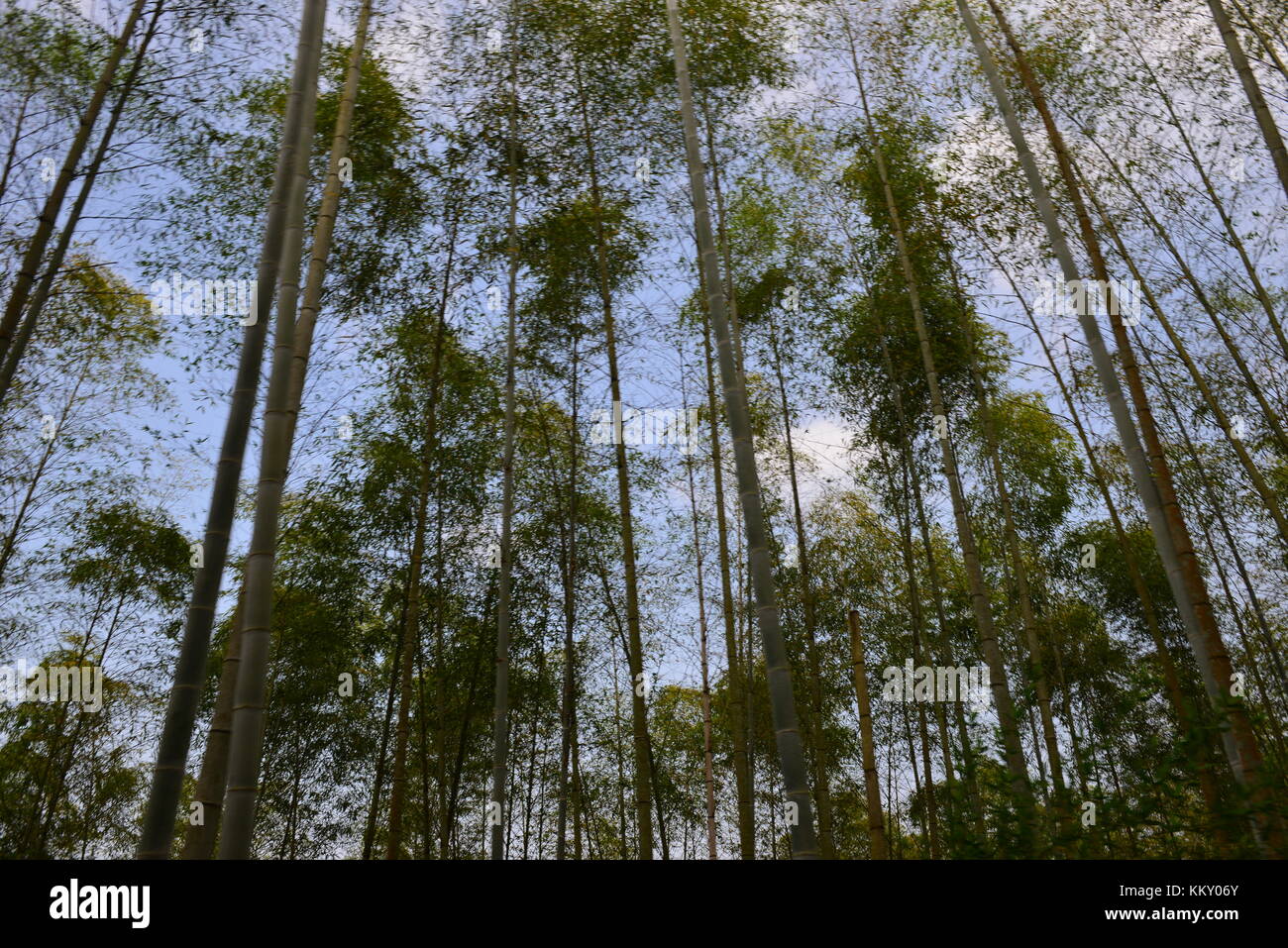 Outstanding features hi-res stock photography and images - Alamy