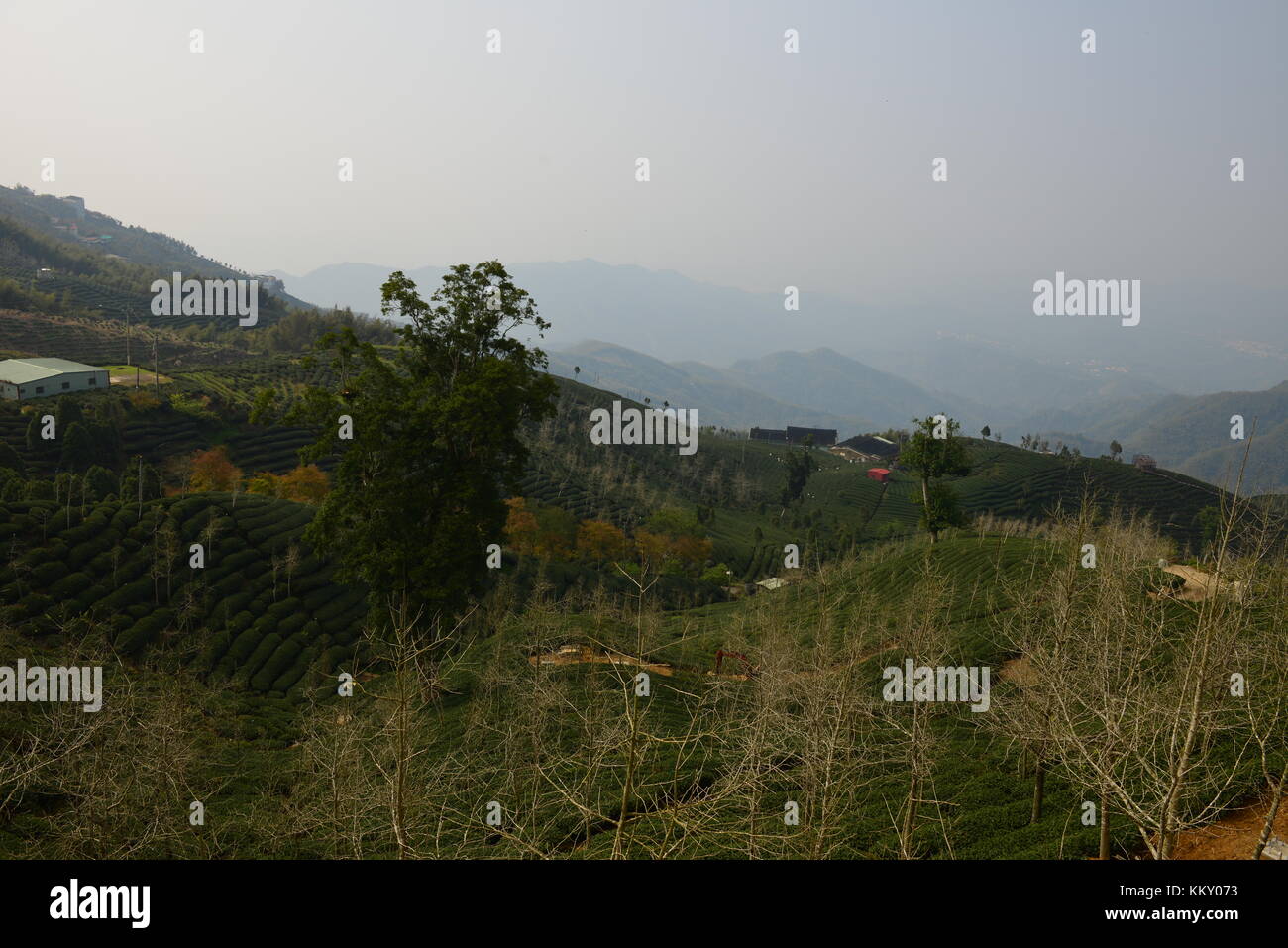 Splendid features hi-res stock photography and images - Alamy