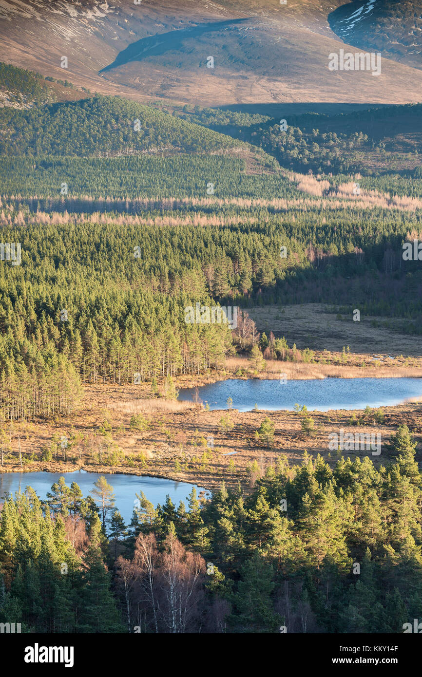Glen feshie uath lochans cairngorms hi-res stock photography and images ...