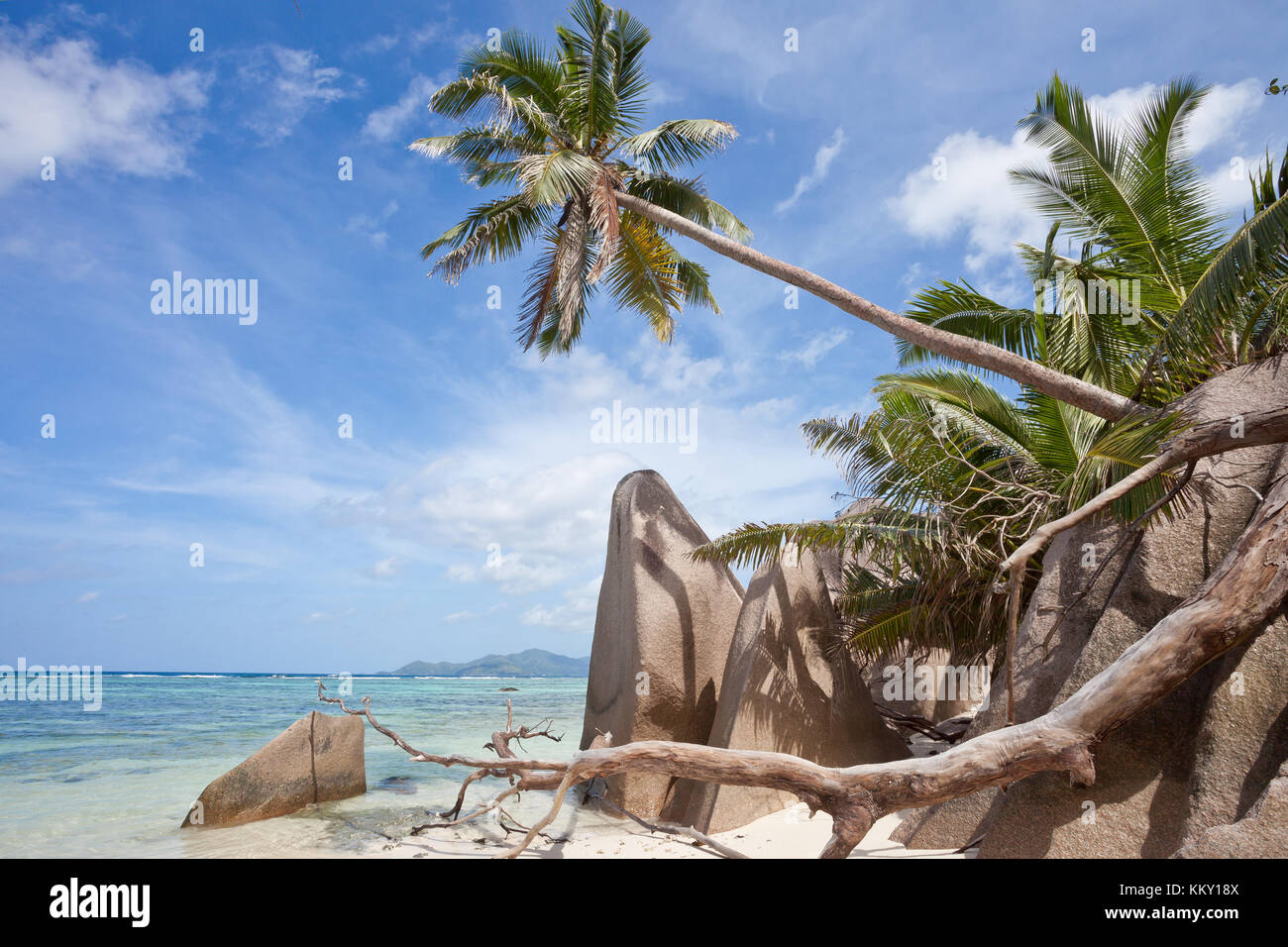 Seychelles vegetation palm trees hi-res stock photography and images ...