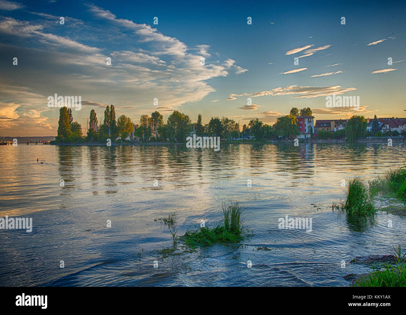 Landscape of the Lake Constance or Bodensee in Germany Stock Photo - Alamy