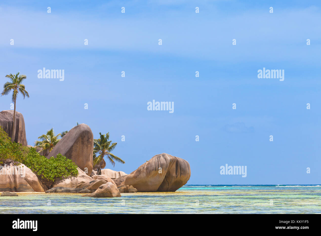 Seychelles vegetation palm trees hi-res stock photography and images ...