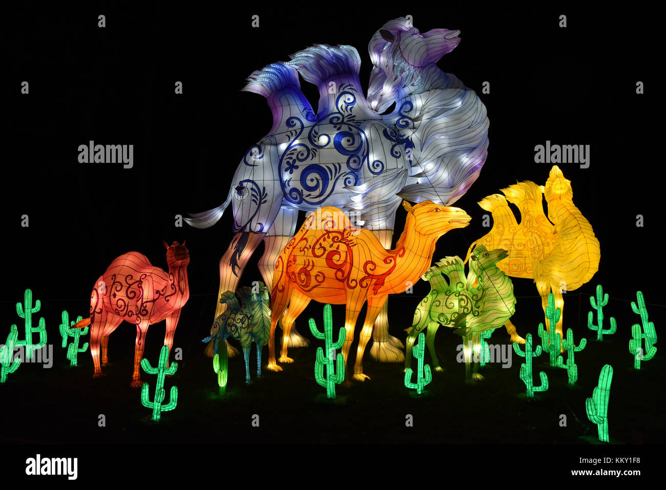Colourful Camel family light display at the Magical Lantern Festival in ...