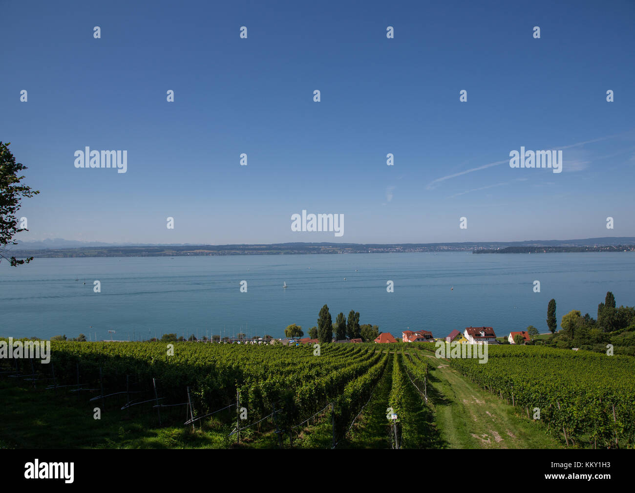 Landscape of the Lake Constance or Bodensee in Germany Stock Photo - Alamy