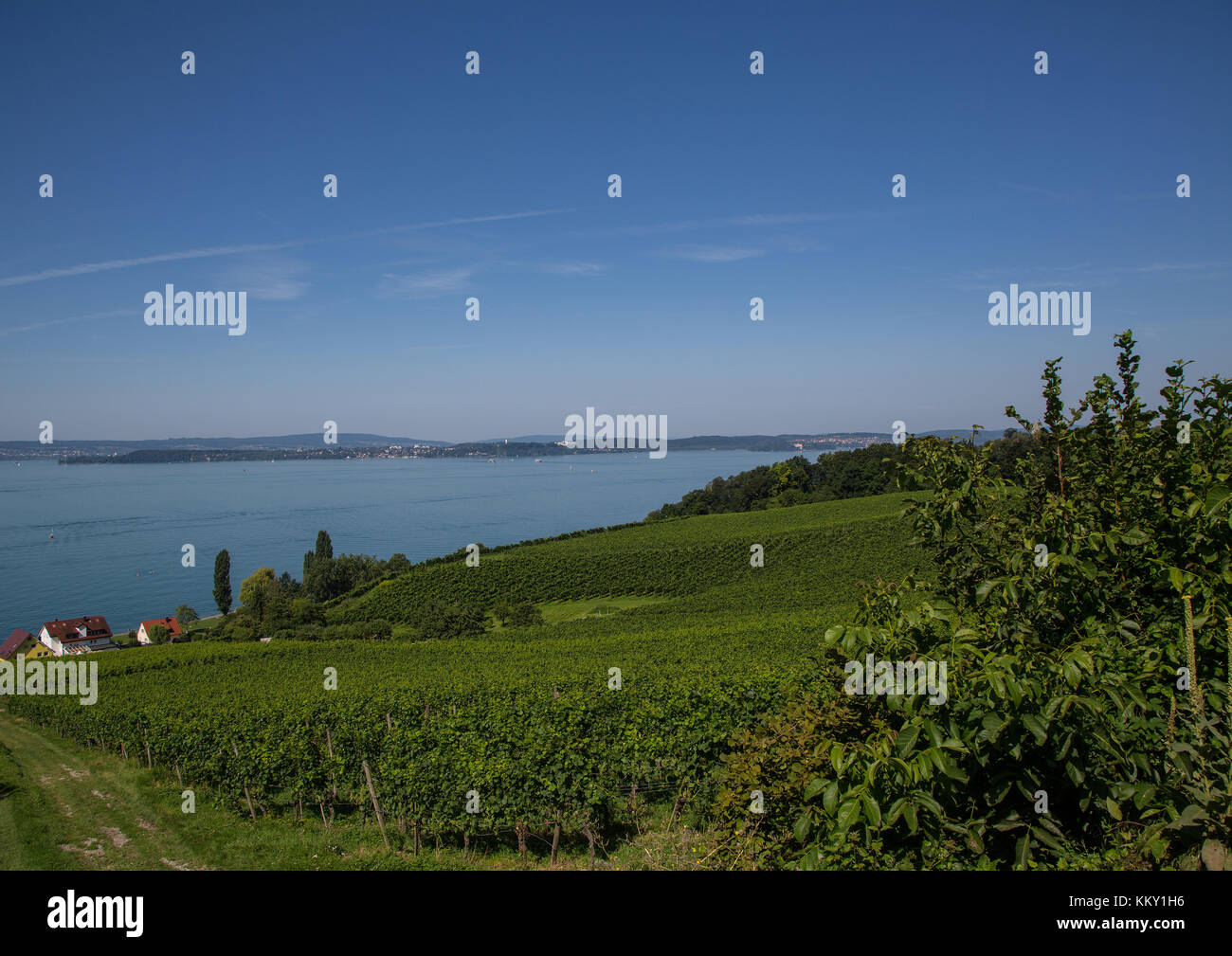 Landscape of the Lake Constance or Bodensee in Germany Stock Photo - Alamy