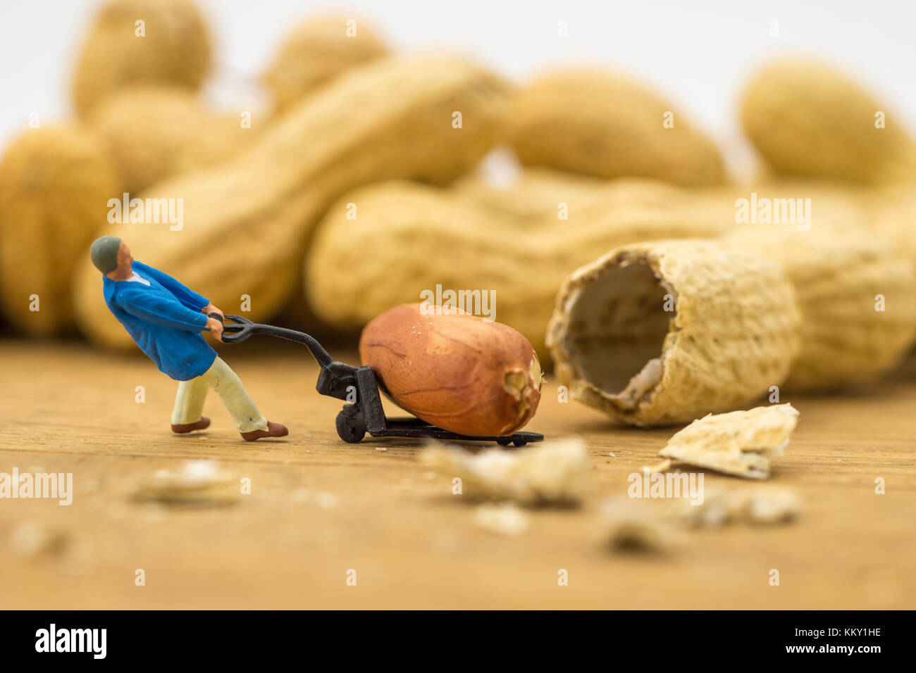 Creative concept with miniature people. Workers chopping nuts. Little ...