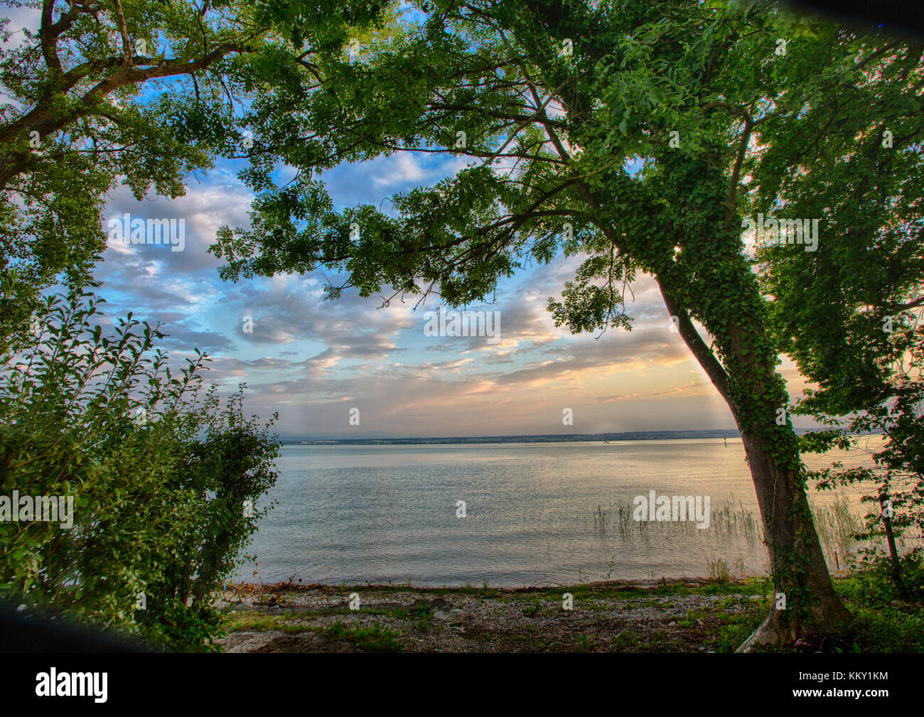 Evening landscape of the Lake Constance or Bodensee in Germany Stock ...