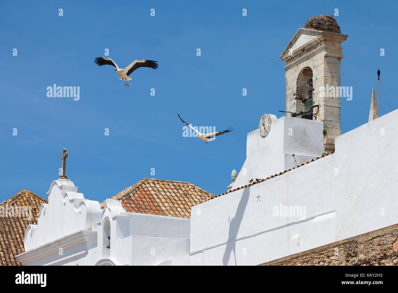 Storks portugal hi-res stock photography and images - Alamy