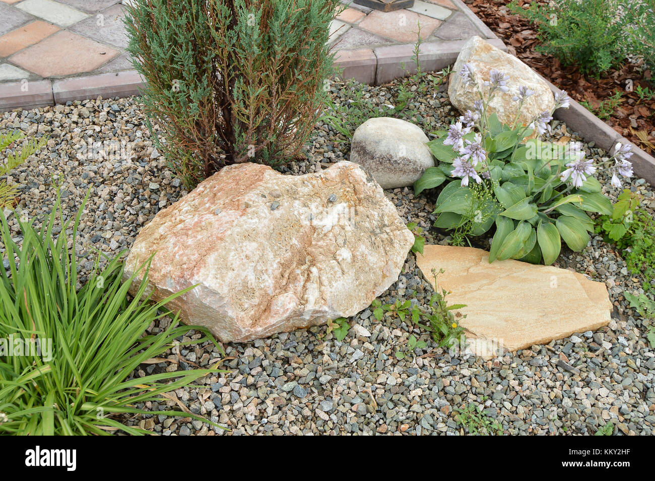 Blooming flowers in flower bed with rocks, Alpine slide Stock Photo - Alamy