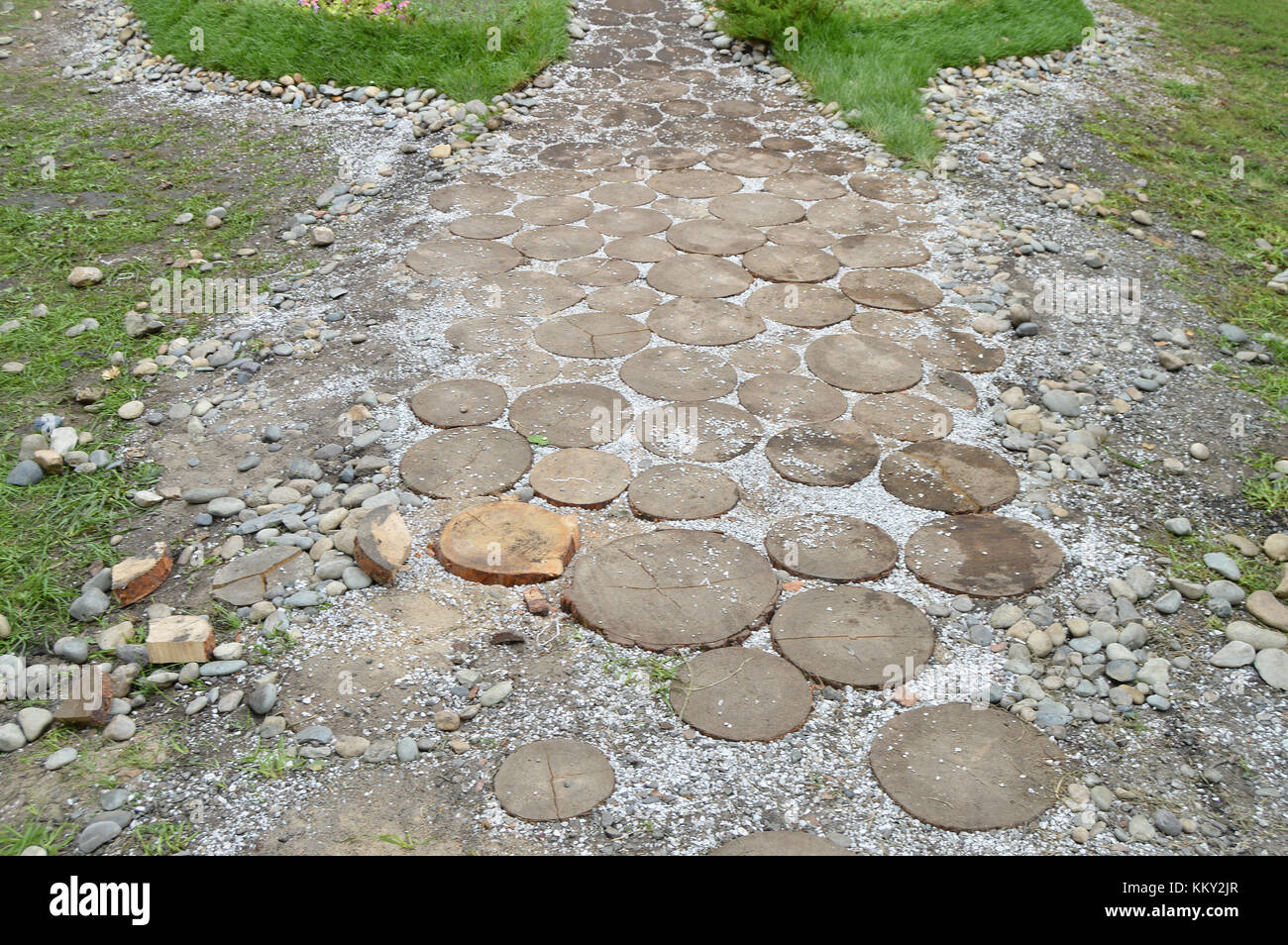 The path of sawn tree trunks, a Wooden cover way Park Stock Photo - Alamy