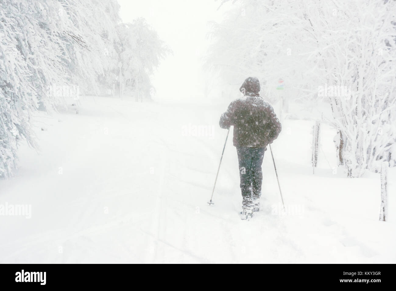 Snowing heavily hi-res stock photography and images - Alamy