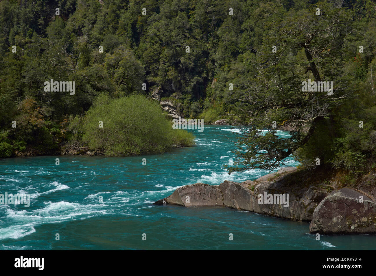River Futaleufu in the Aysén Region of southern Chile. The river is ...
