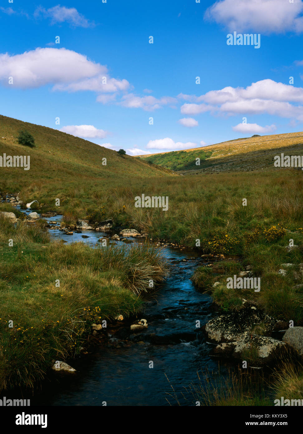 View N along West Dart River to Wistman's Wood, UK: two isolated ...