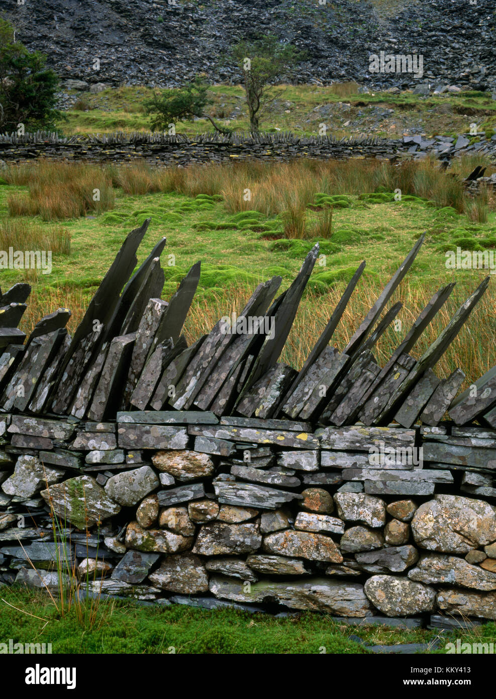 Slate spines hi-res stock photography and images - Alamy