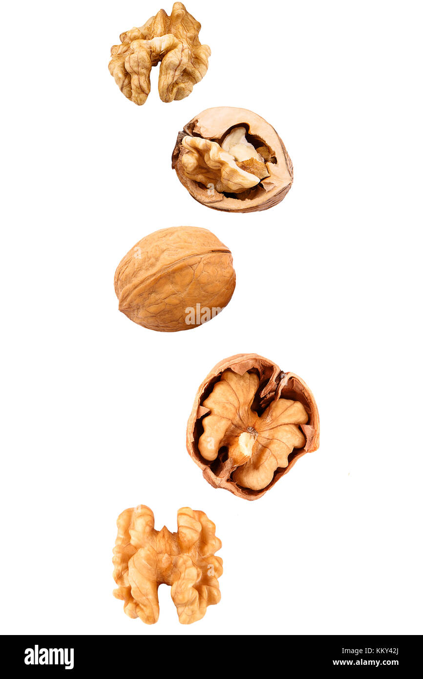Falling walnuts isolated on white background with clipping path Stock ...