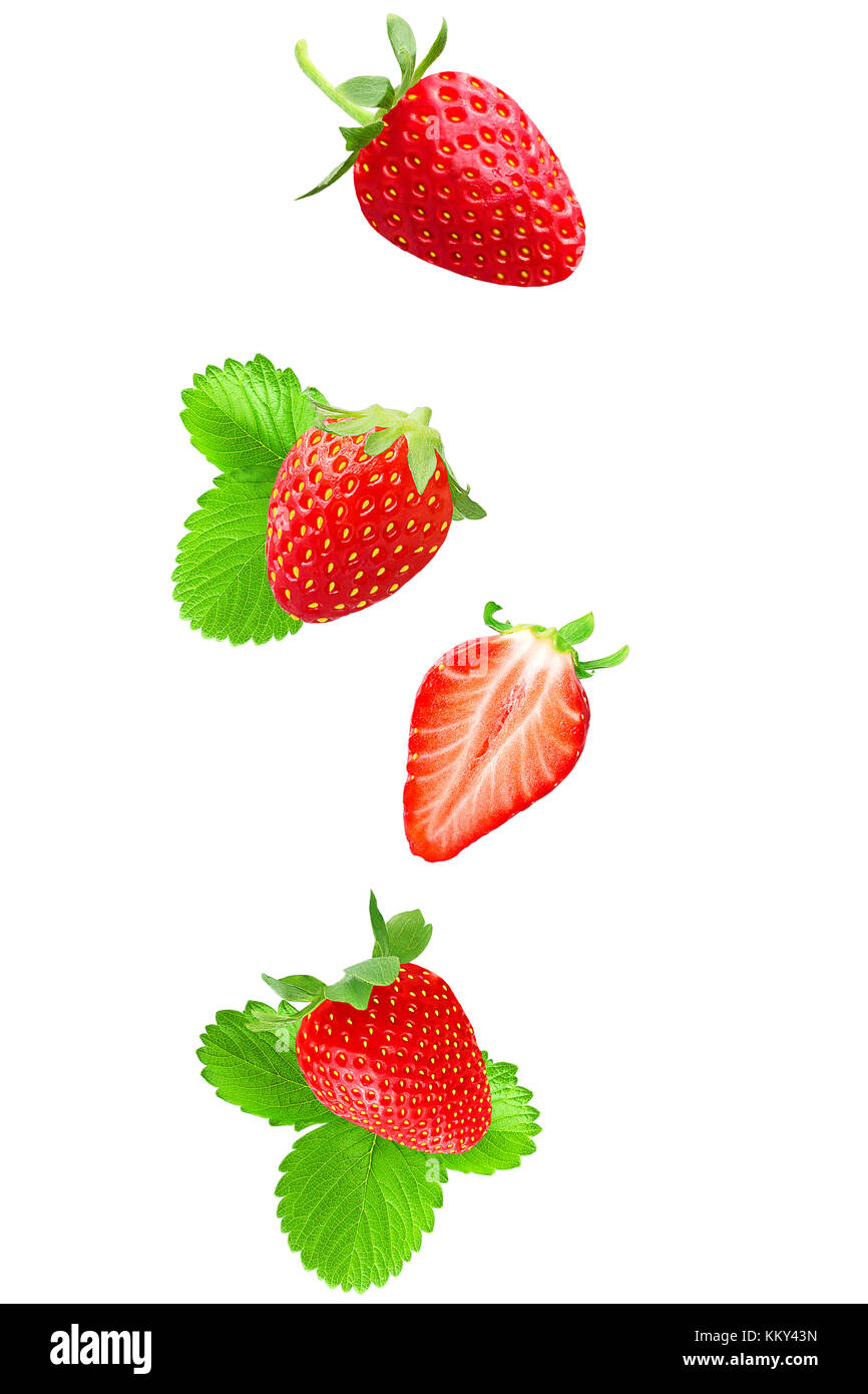 Isolated falling strawberries on white background with clipping path ...
