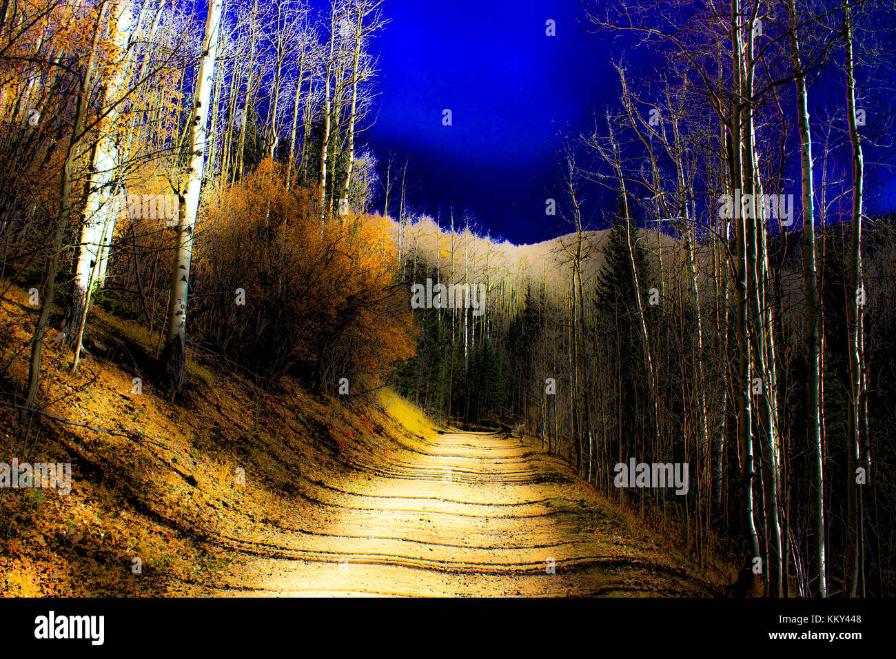 It seems there is no light source, yet the road is well illuminated ...