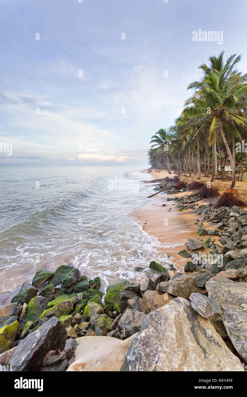 Beach of Marawila, Sri Lanka, Asia Stock Photo - Alamy