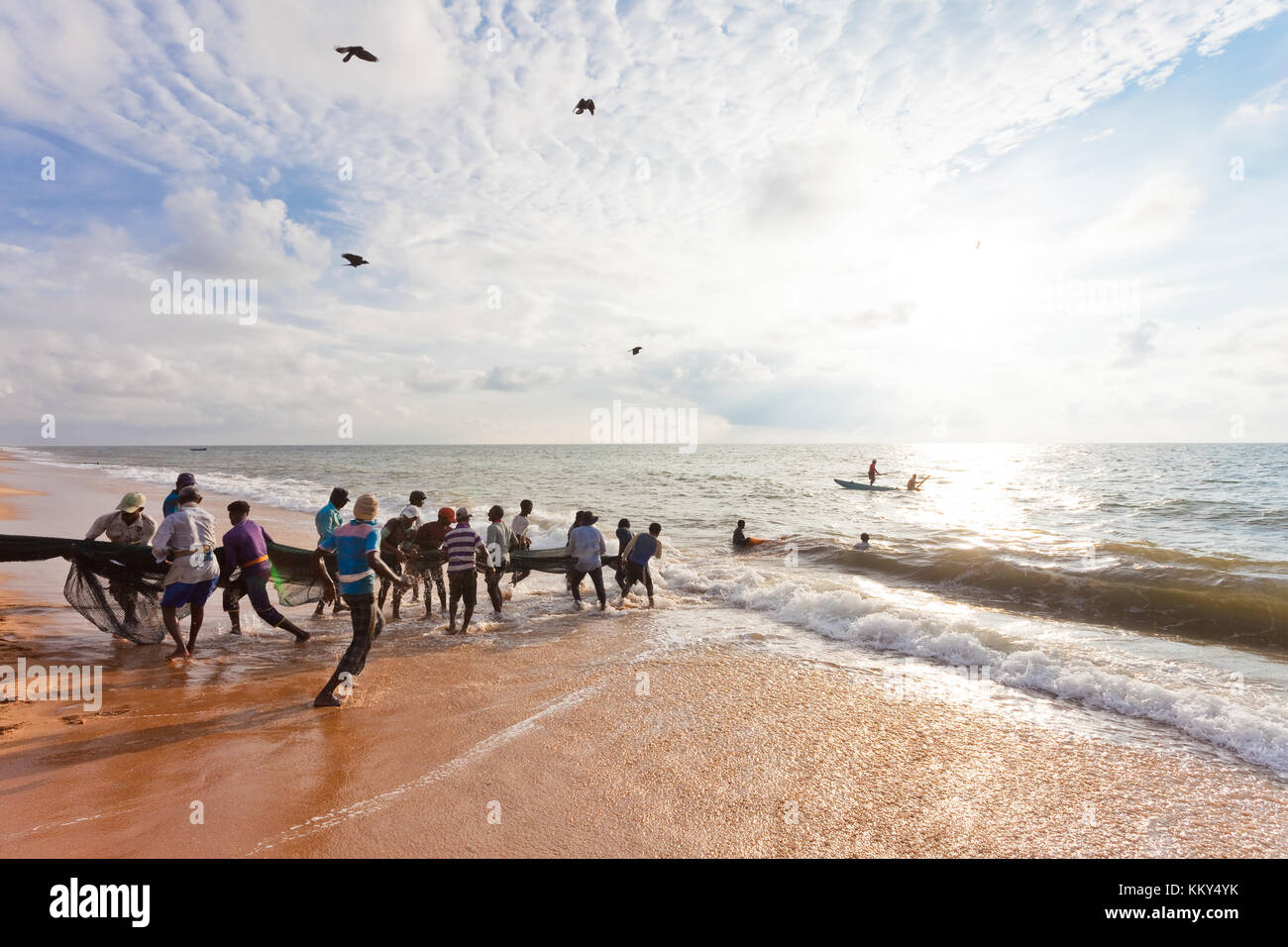 Catching fish, Thoduwala, Sri Lanka, Asia Stock Photo - Alamy