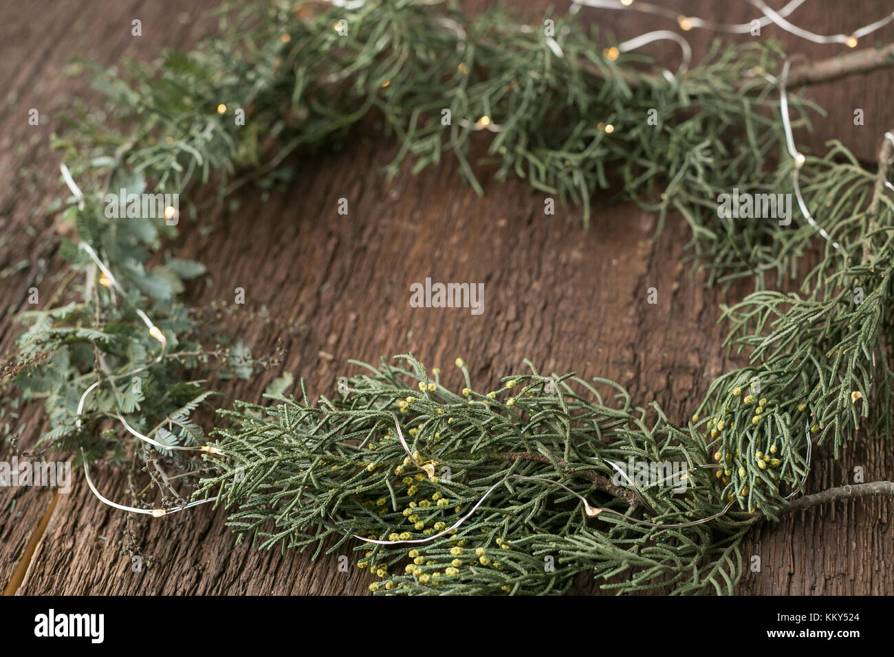 embellishment, nature elements, illumination concept. fresh green ...