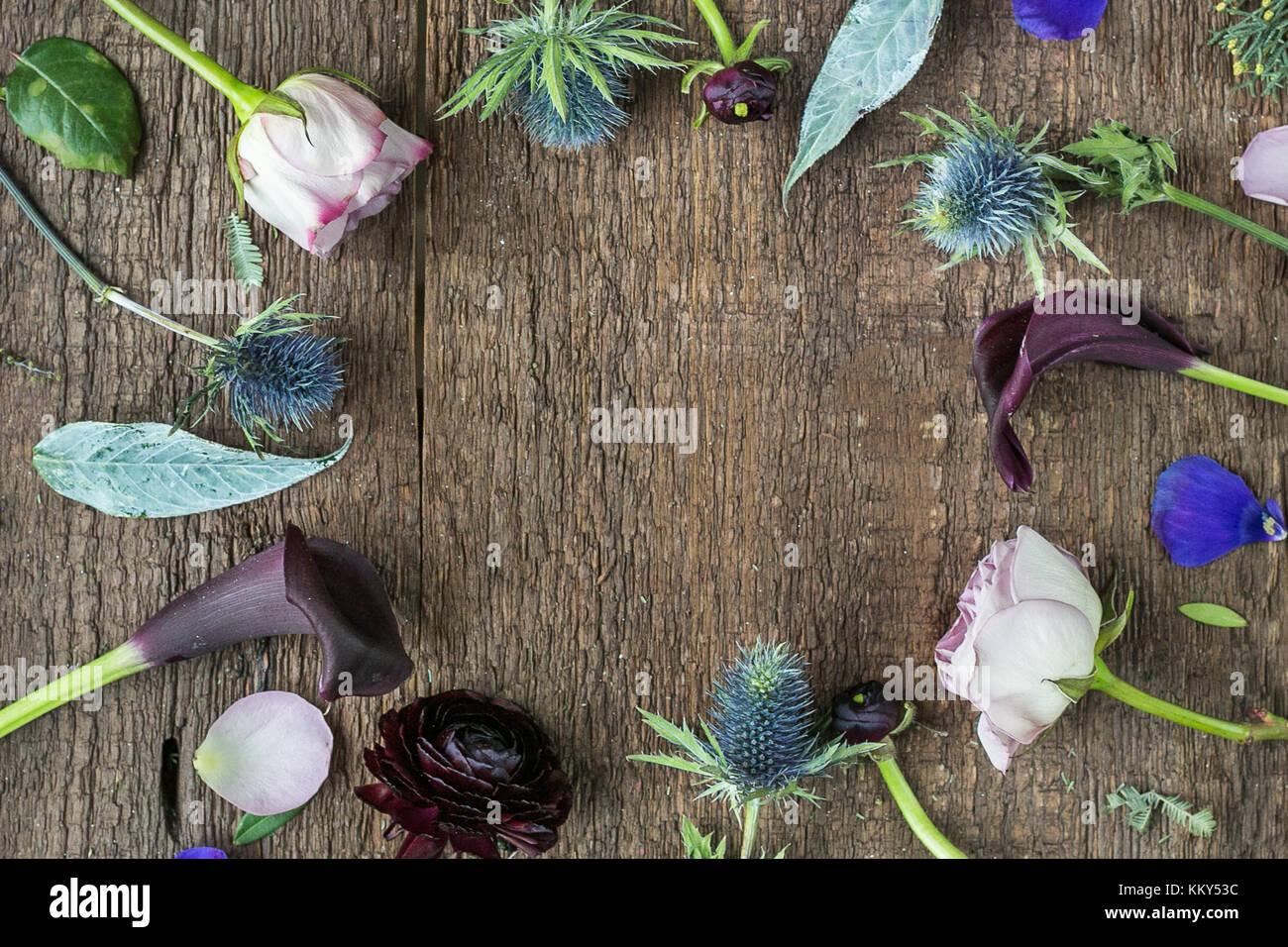planting, growing, background concept. different flowers, some of them ...