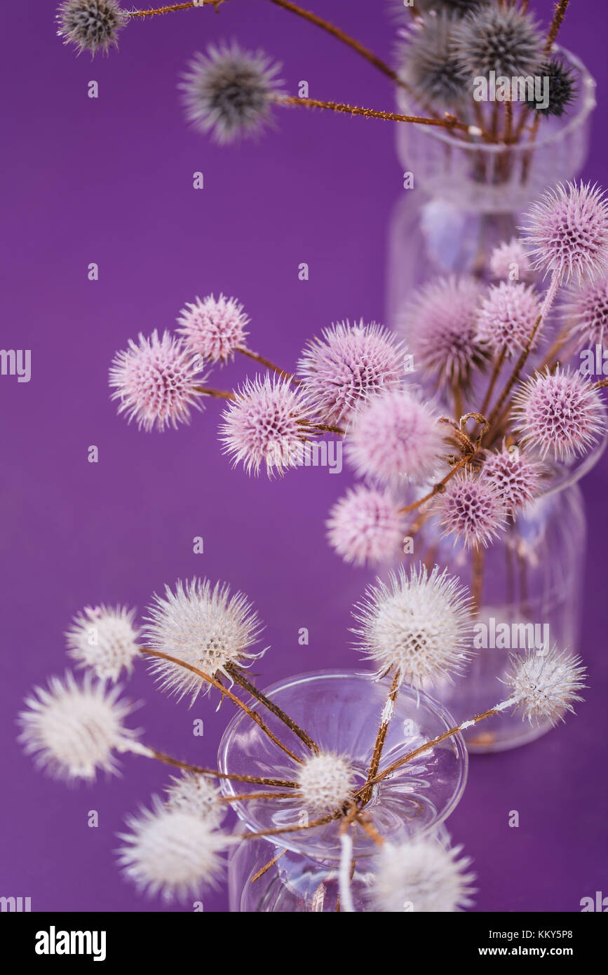 Table decoration, glass vases, globe thistles, coloured, detail Stock ...