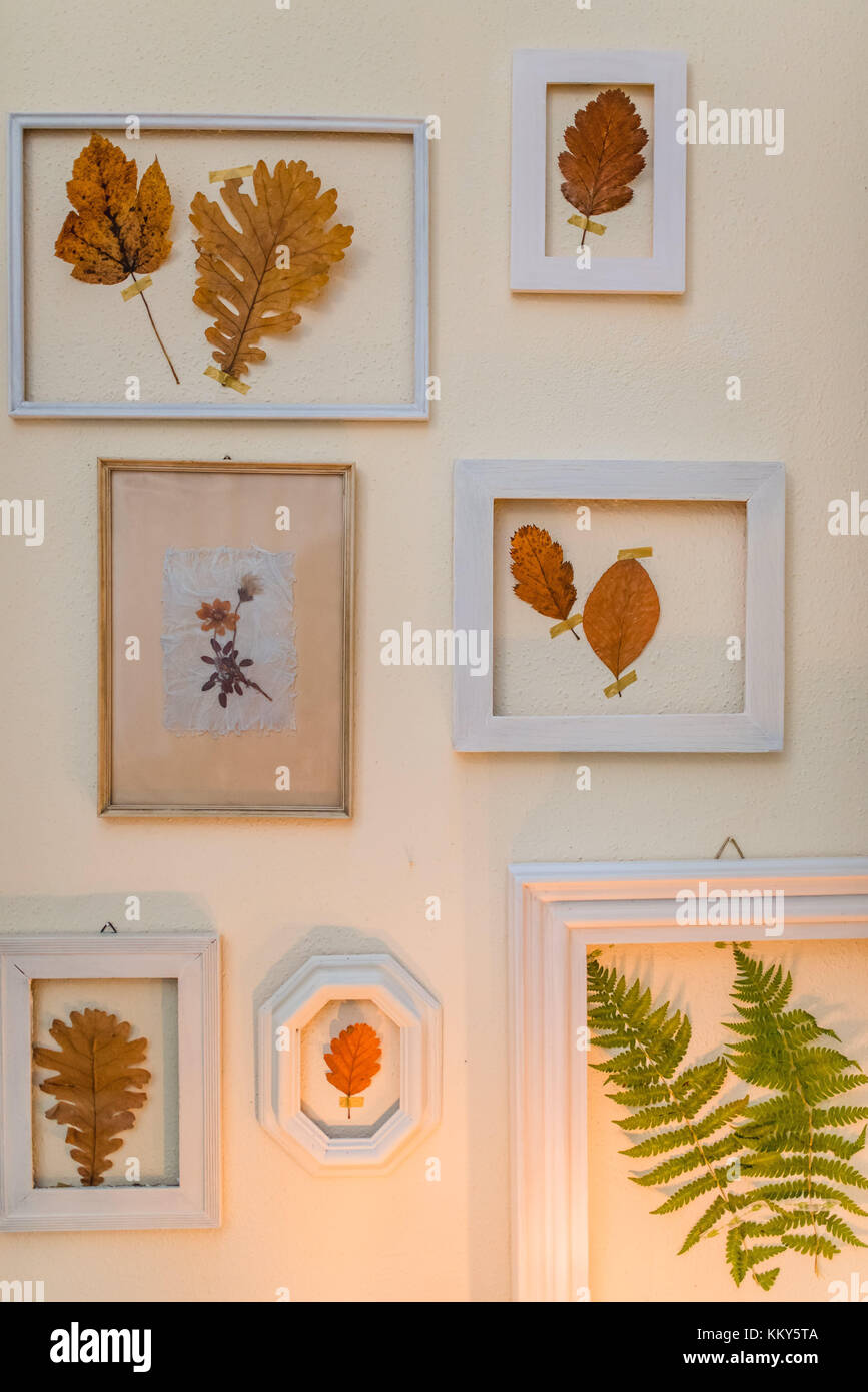 Wall, gallery, border, autumn foliage Stock Photo - Alamy