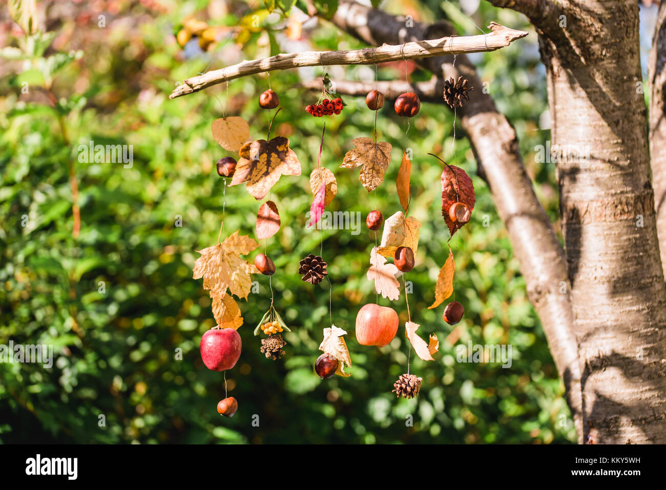 Tree, autumnal decoration, hang Stock Photo - Alamy