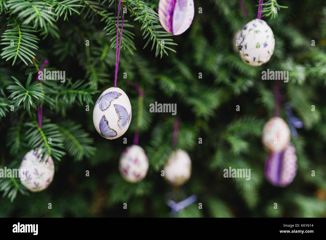 Easter decoration, hedge, detail Stock Photo - Alamy