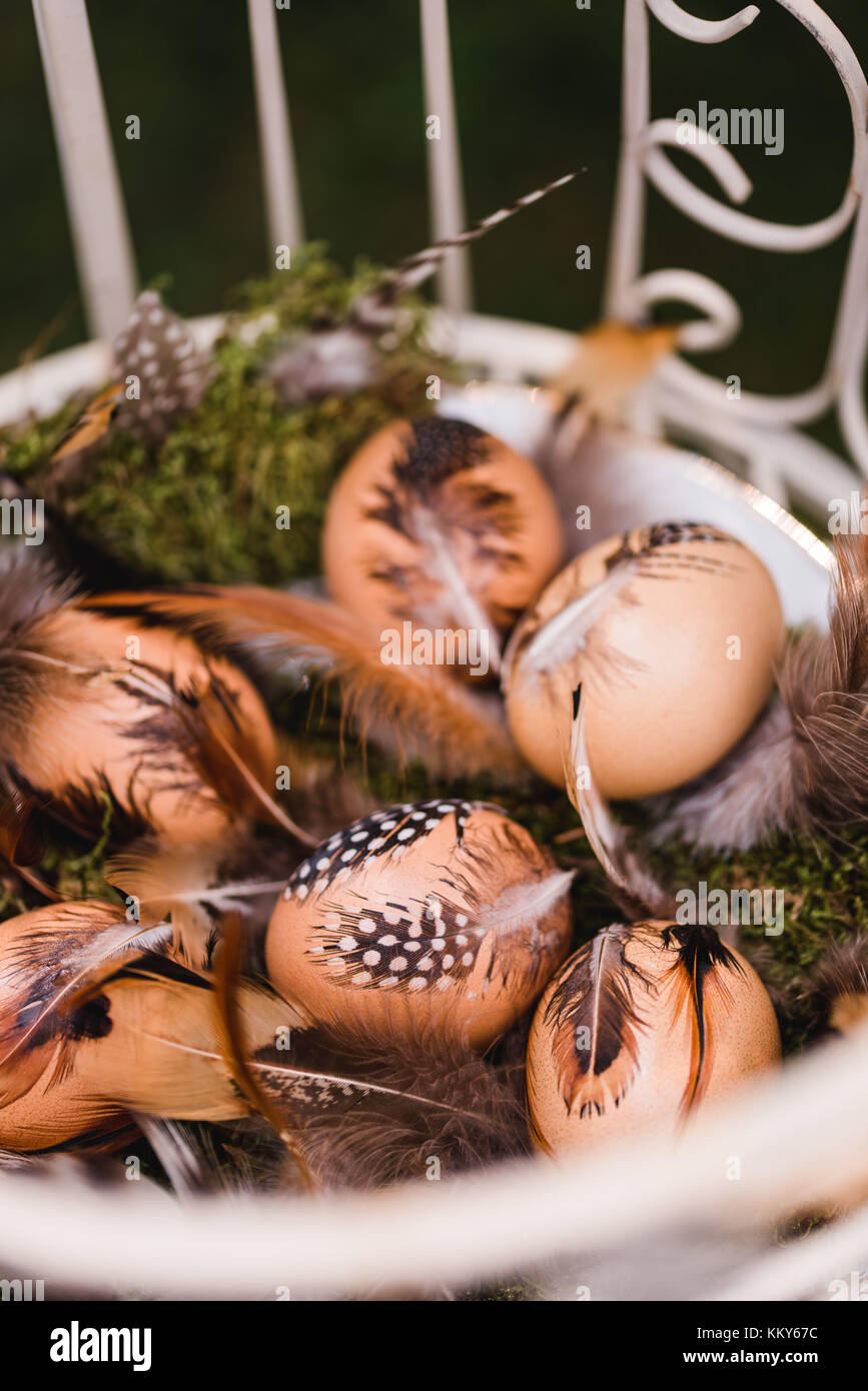 Still life with feathers hi-res stock photography and images - Alamy