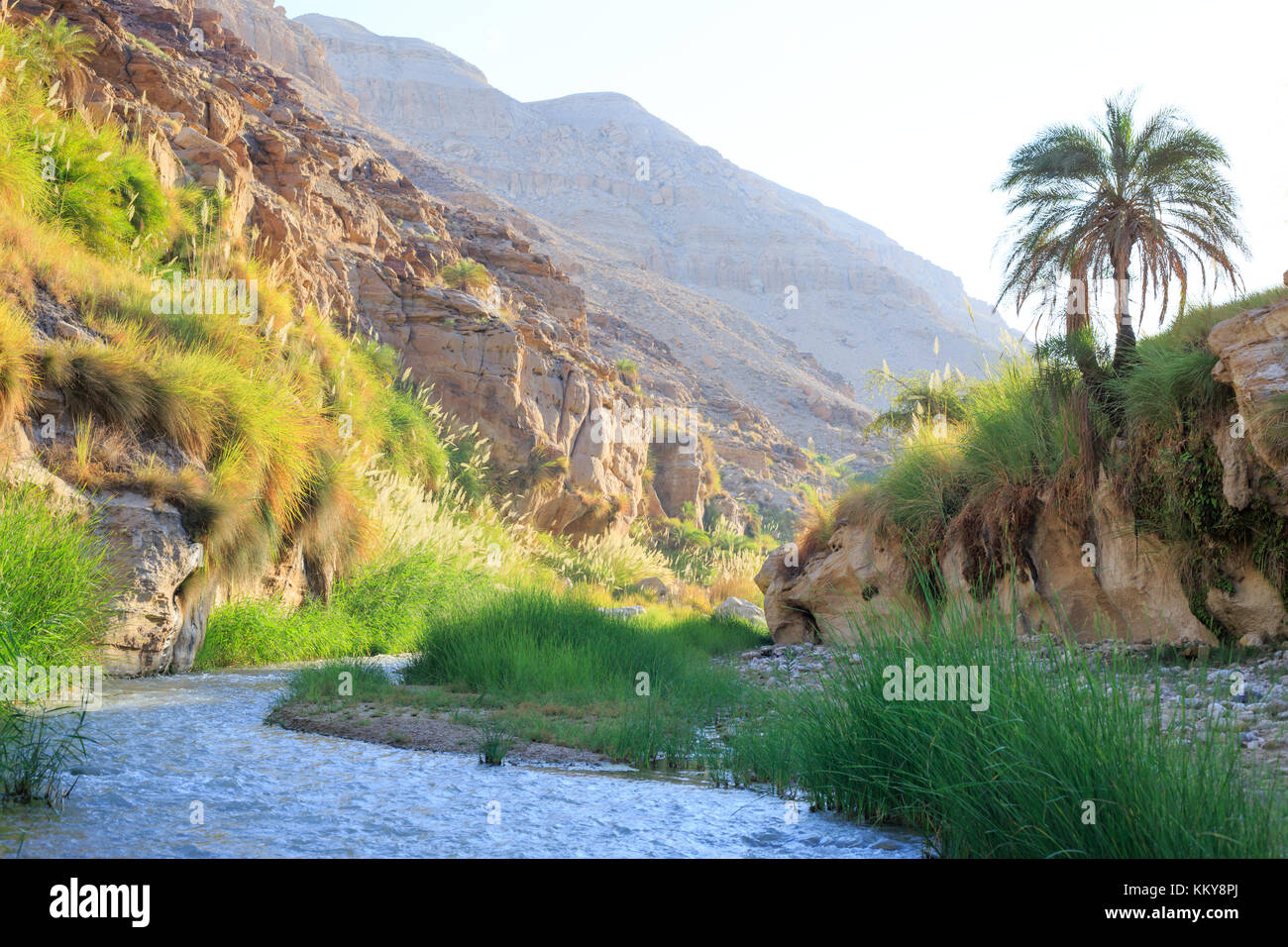 Scenic route of the water hike in Wadi Hassa, Jordan, Middle East Stock ...