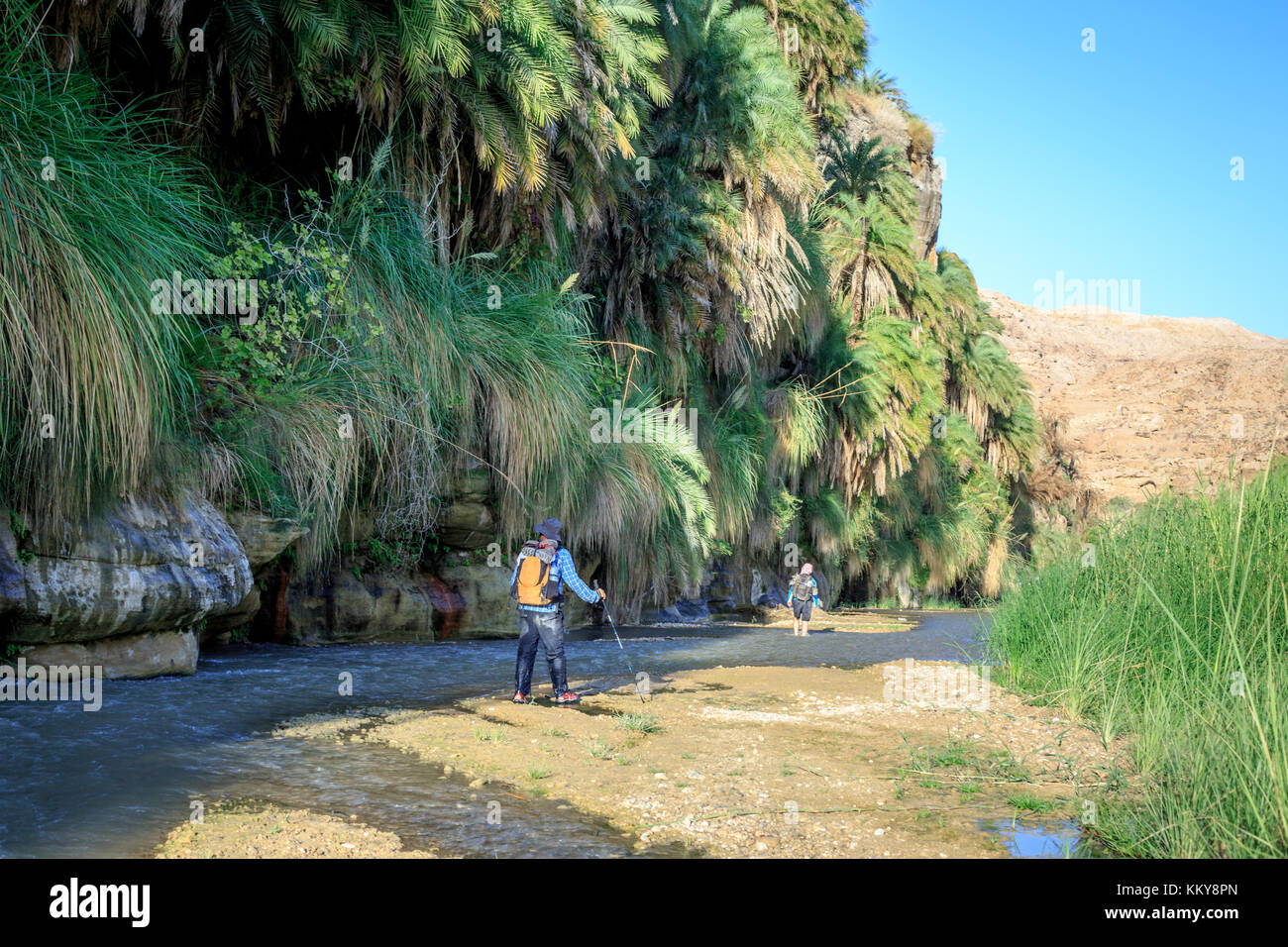 Scenic route of the water hike in Wadi Hassa, Jordan, Middle East Stock ...