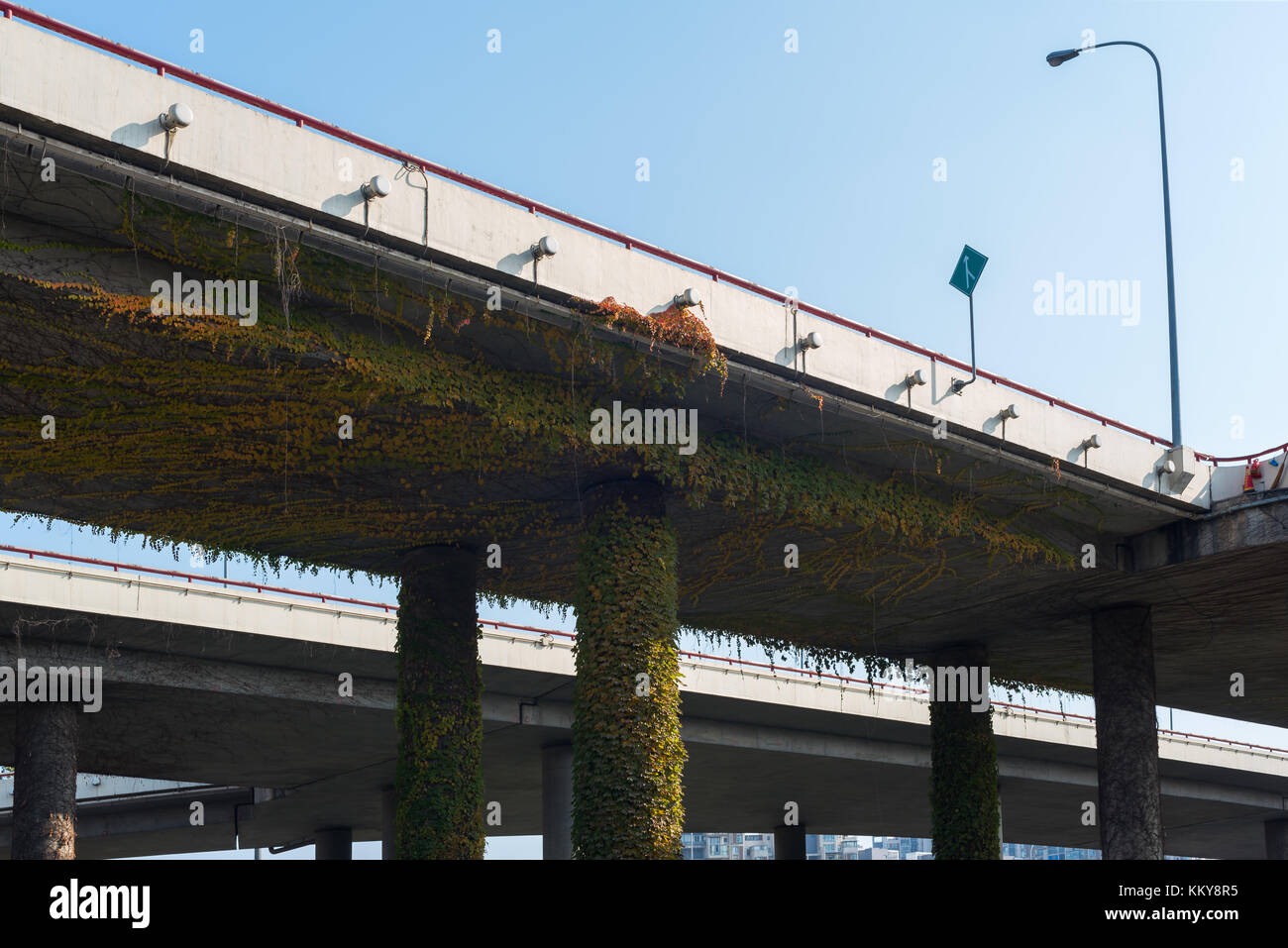 Chengdu, China - Nov 30, 2017 : Elevated road with columns covered by ...