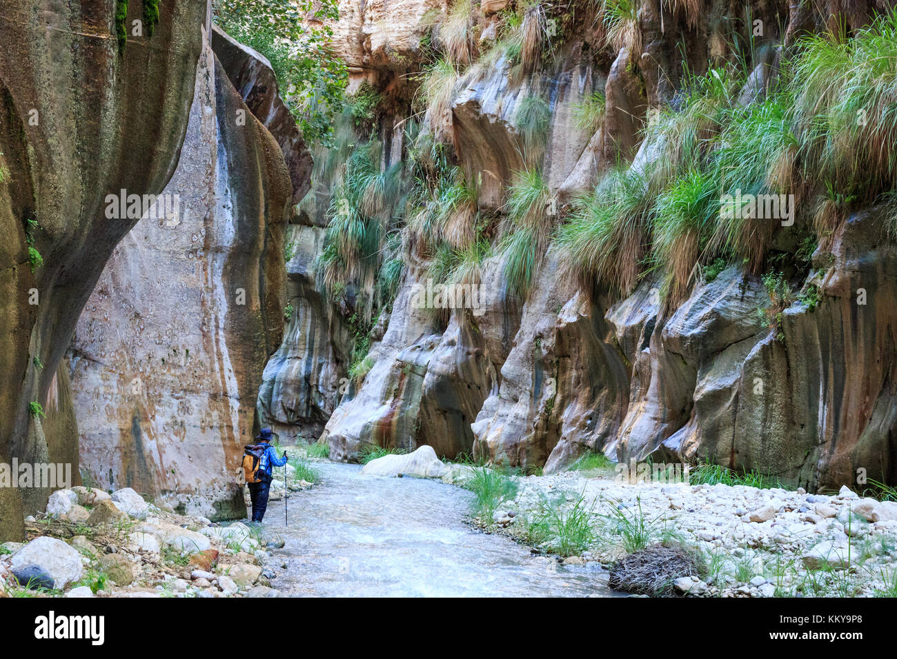 Scenic route of the water hike in Wadi Hassa, Jordan, Middle East Stock ...