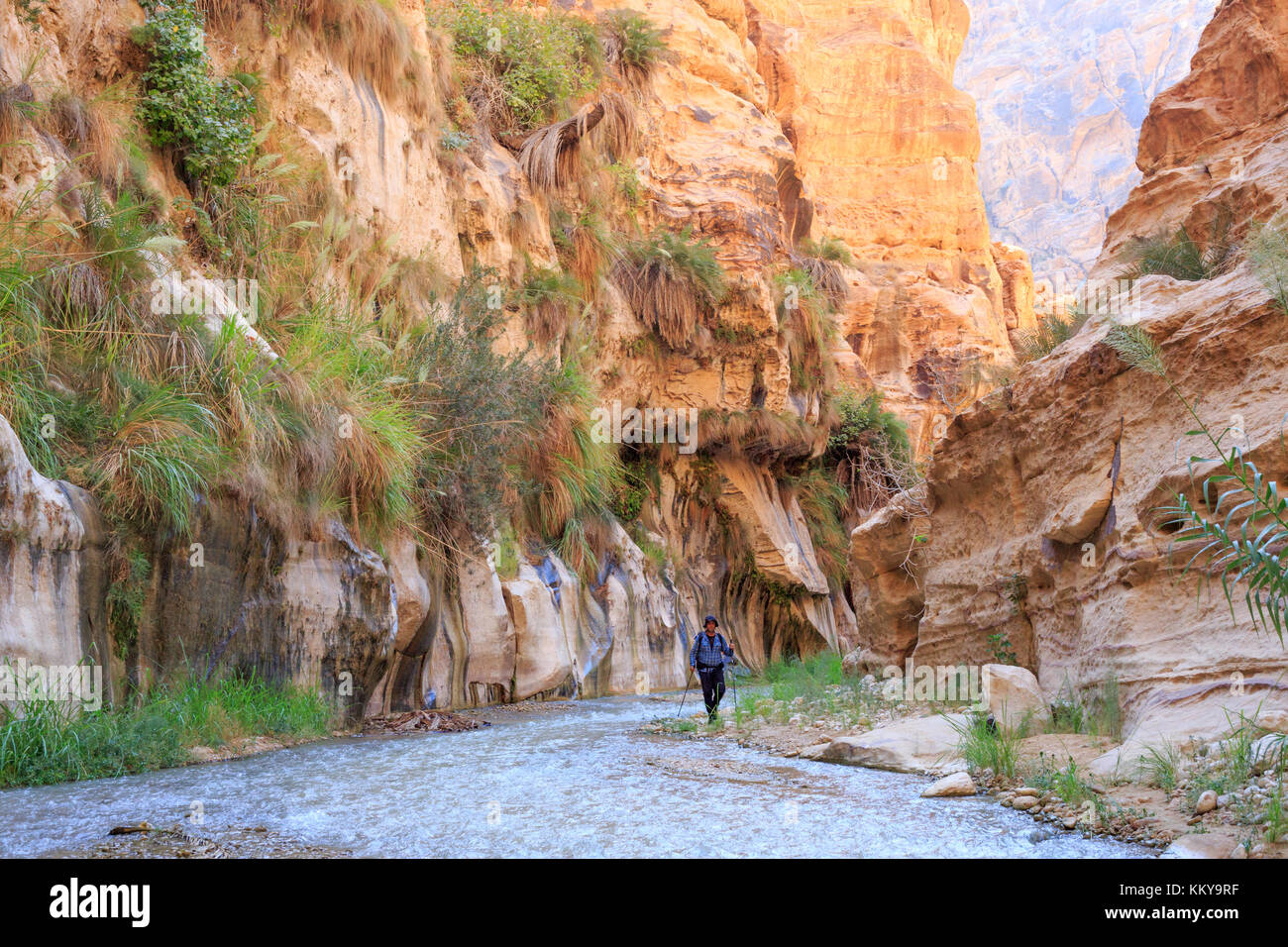 Scenic route of the water hike in Wadi Hassa, Jordan, Middle East Stock ...