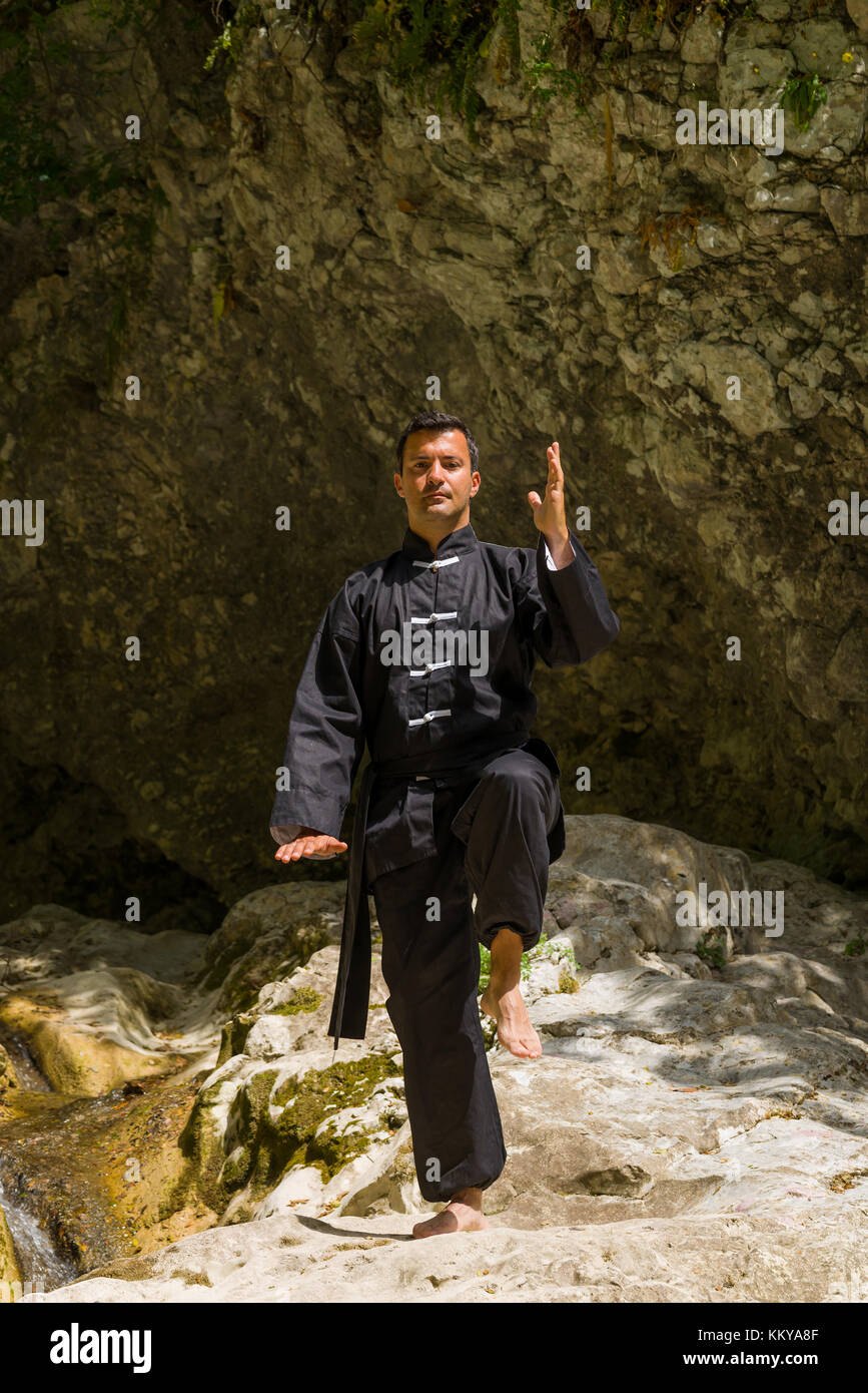 Adult man practicing Tai Chi outdoors Stock Photo - Alamy